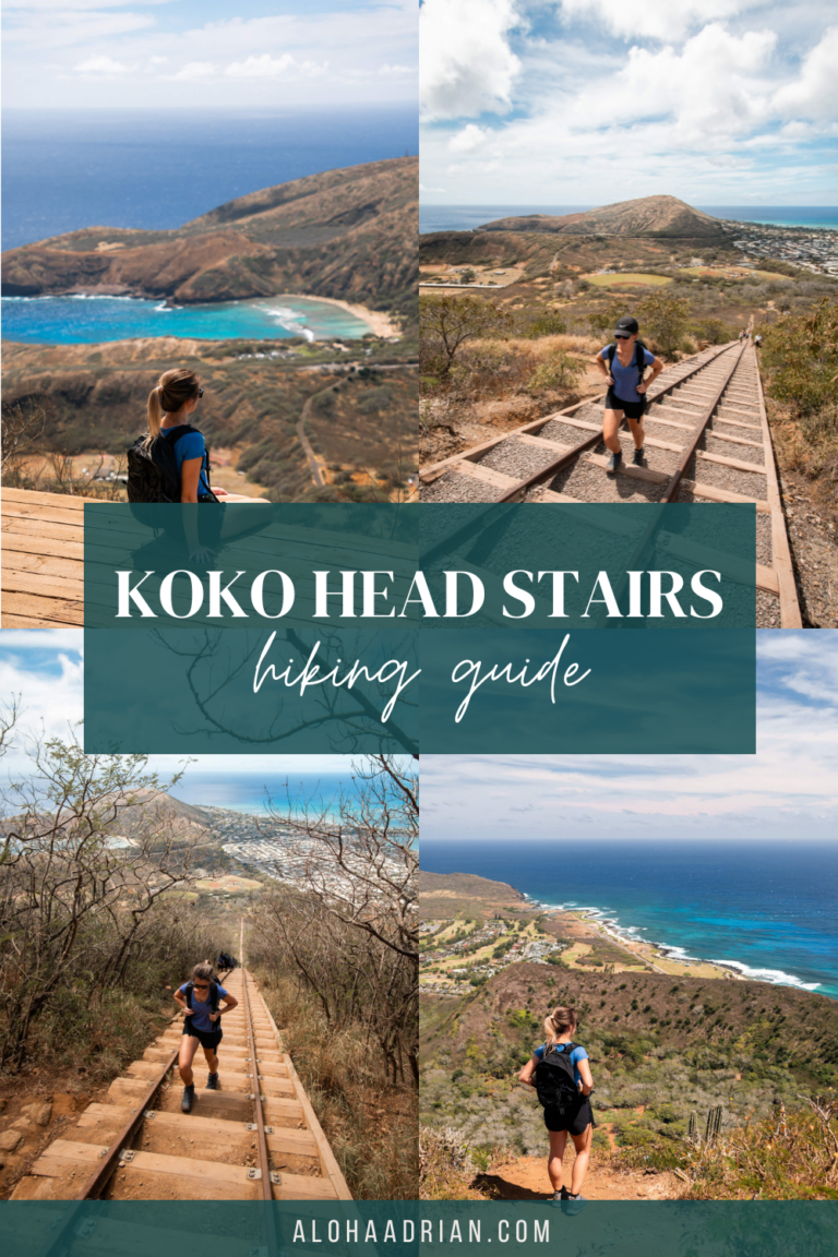 Everything you need to know about Koko head stairs - Aloha Adrian